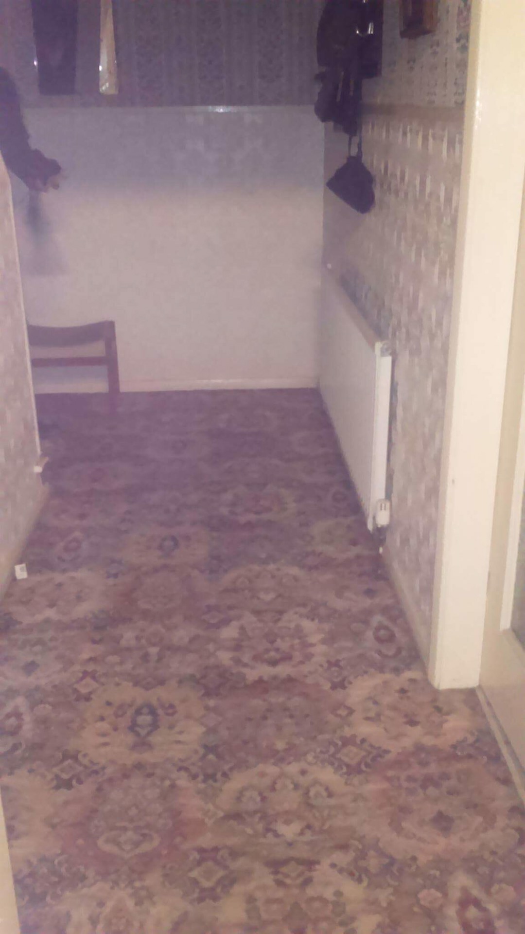Paranormal Evidence Review – Ashley Knibb
