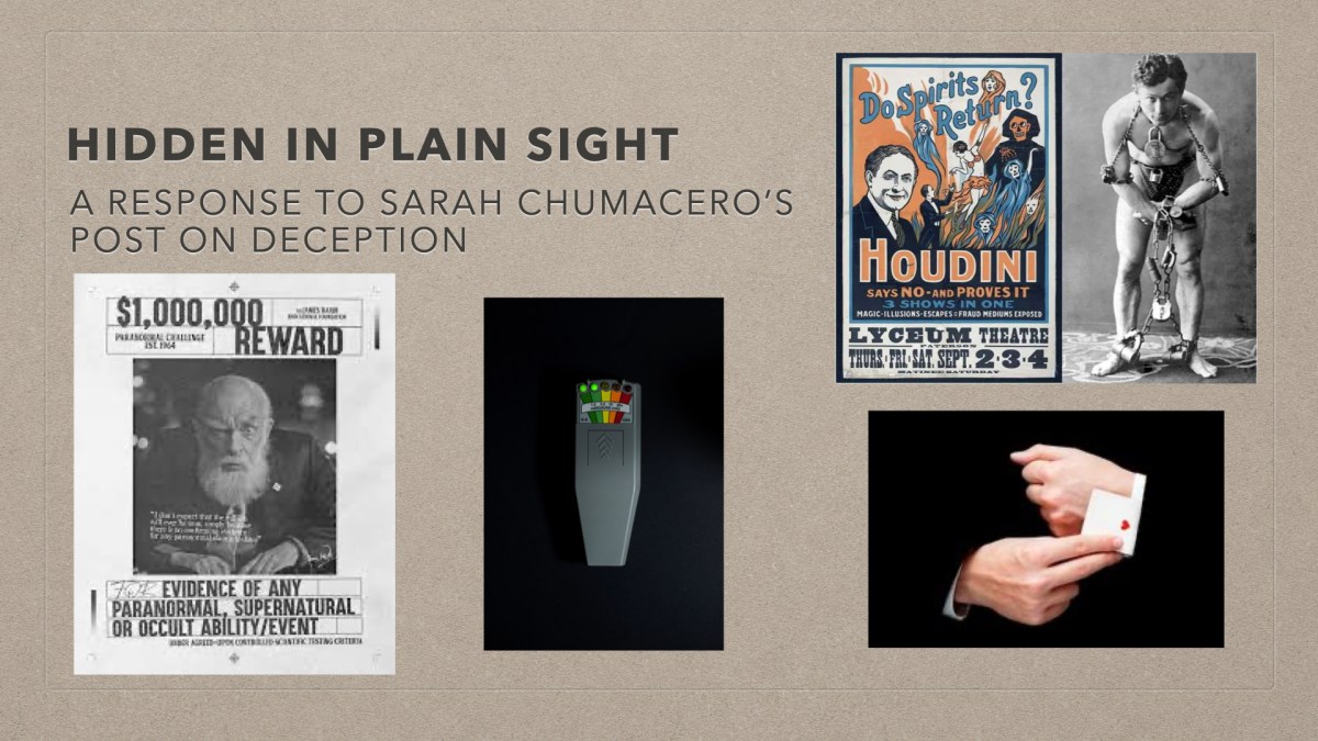 Hidden in Plain Sight – Ashley Knibb